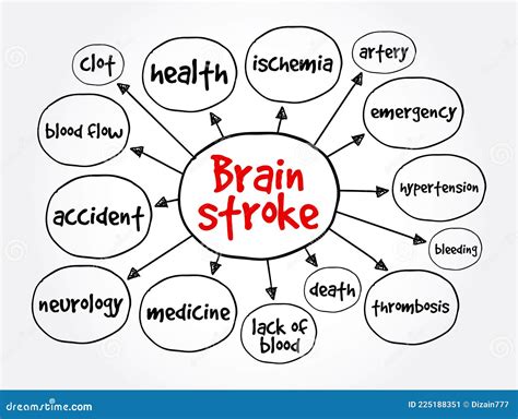 Brain Stroke Mind Map Medical Concept For Presentations And Reports Stock Illustration