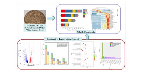 Comparative Transcriptome Analysis Revealing The Enhanced Volatiles Of Cofermentation Of Yeast