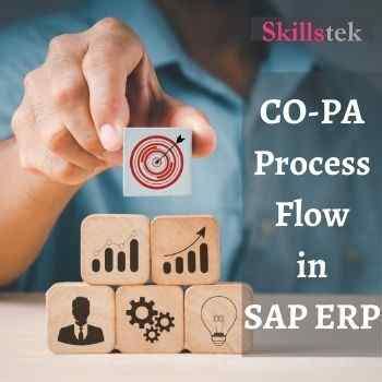 COPA Process Flow In SAP FICO Profitability Analysis Skillstek