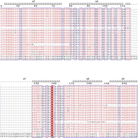 Multiple Sequence Alignment Of All 14 3 3 Proteins From Soybean