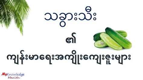၉၇ သခွားသီး၏ကျန်းမာရေးအကျိုးကျေးဇူးများ Youtube
