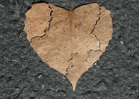 Terapia Schema Therapy Italia