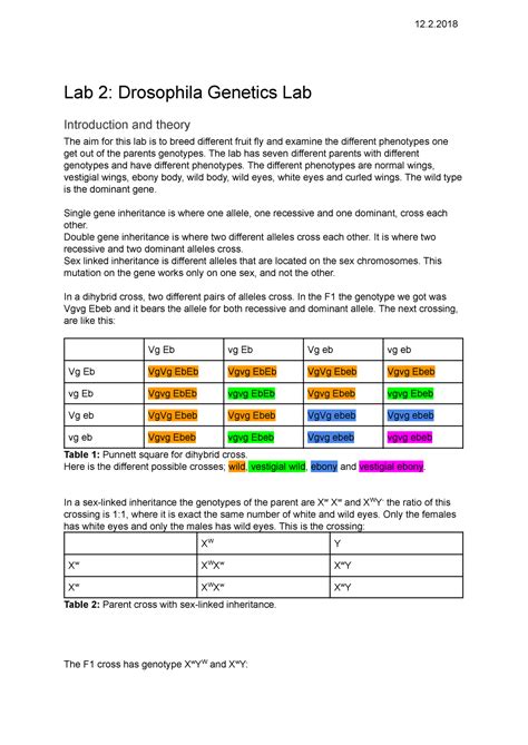 Drosophila Genetics Lab Report