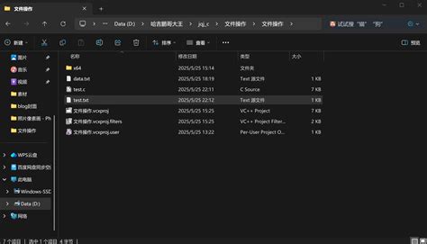 【掌握文件操作】（上）：二进制文件和文本文件、文件的打开和关闭、文件的顺序读写