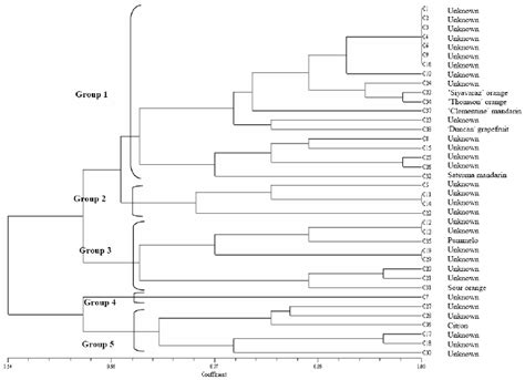 Dendrogram Of 38 Samples Of Citrus Using Ssr Markers Based On Complete