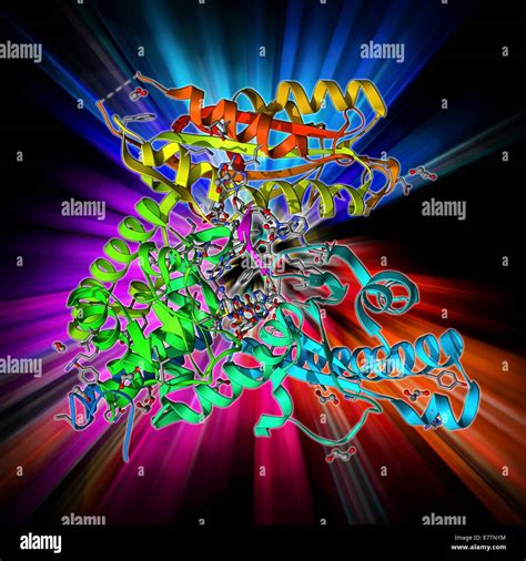 Polya Polymerase And Rna Molecular Model Of Polya Polymerase