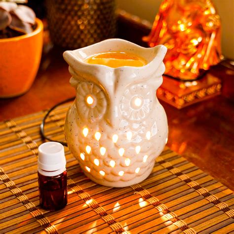 Brown Owl Electric Diffuser Winni