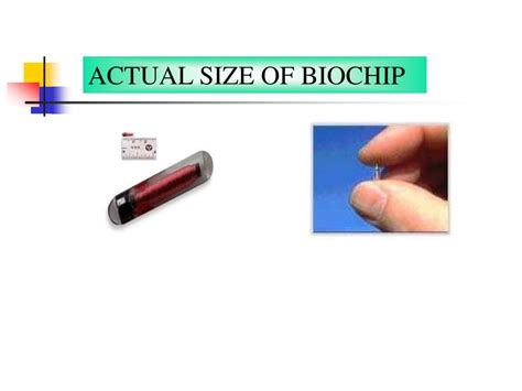 PPT THE BIO CHIPS PowerPoint Presentation Free Download ID