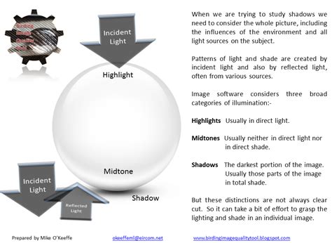 Birding Image Quality Tool Forensics Analysis Of Shadows