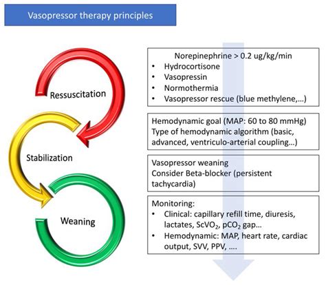 Vasopressor Sparing Strategies In Patients With Shock A Scoping Review