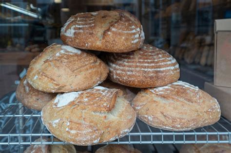 빵집 카운터에 있는 신선한 빵 측면도 복사 공간 장인이 갓 구운 다양한 밀 덩어리와 호밀 빵을 평평하게 놓습니다 0명에 대한 스톡 사진 및 기타 이미지 Istock