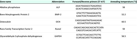 Primer Sequences Used In The Analysis Of Rt Pcr Download Scientific