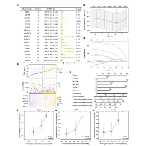 Construction Of A Prognostic Risk Signature Based On Mmrgs A The