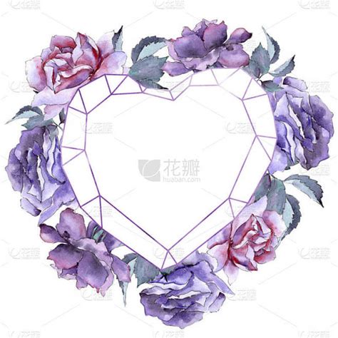 五颜六色的玫瑰花卉植物花框边框装饰广场