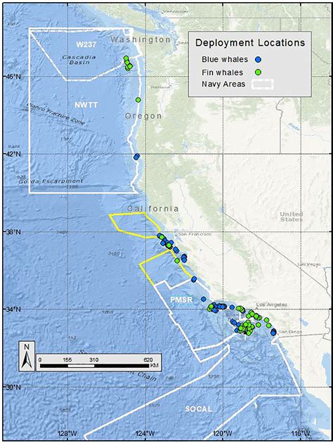 Frontiers Blue And Fin Whale Residence Time And Occupancy In Navy Training And Testing Areas