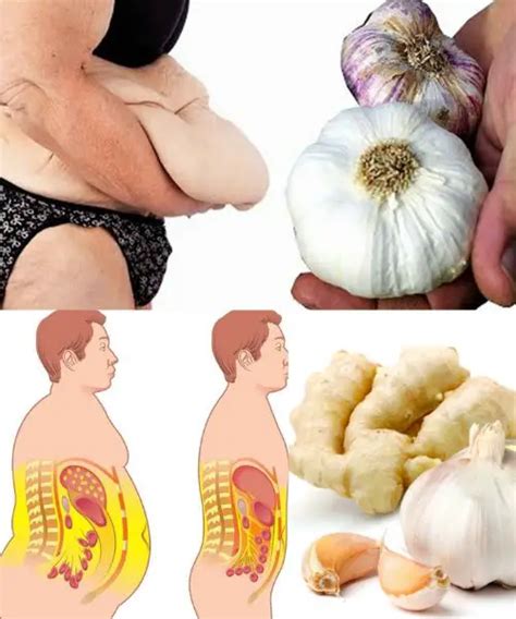 Garlic And Ginger A Powerful Combination For Boosting Metabolism Pst Algerie