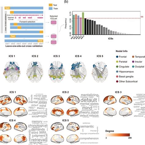 informative icss and functional annotation a schematic of the