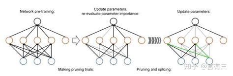 【ai不惑境】模型剪枝技术原理及其发展现状和展望 知乎