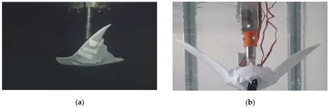 Data Driven Prediction Of Experimental Hydrodynamic Data Of The Manta Ray Robot Using Deep