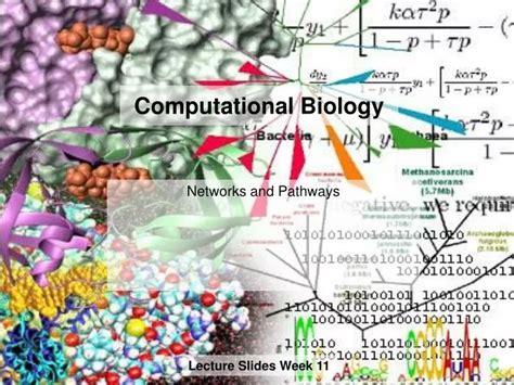 ppt computational biology powerpoint presentation free download id
