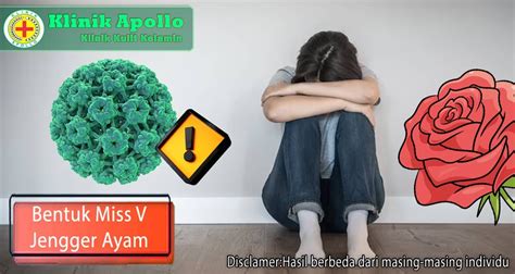 Mengenal Berbagai Fenomena Dan Bentuk Miss V” Jengger Ayam Klinik Apollo Jakarta