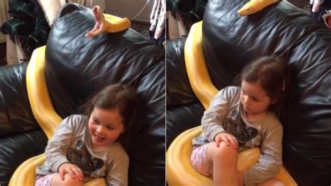 Bizarre Girl Watching Tv With 12 Foot Long Reticulated Python Watch