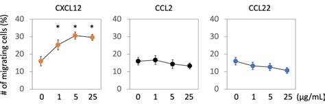 Real Time In Vitro Migration Assay For Primary Murine Cd8 T Cells
