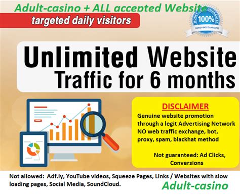 Unlimited Adult Website Traffic For Six Month Adult Website Traffic For 20 SEOClerks