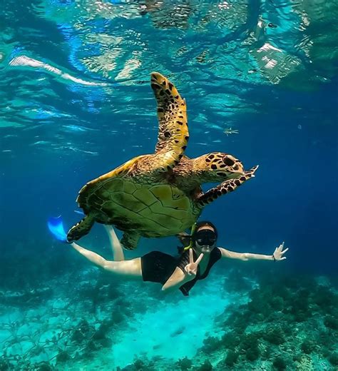 Indonesian Documenter Getyourguide サプライヤー