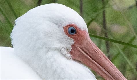Improve Your Image Quality With These Noise Reduction Techniques
