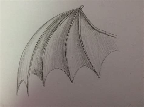 Dragon Wings Sketch At Explore Collection Of