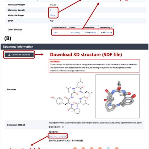 A Peptide Information Section Of Peptide Detail Page B Structural