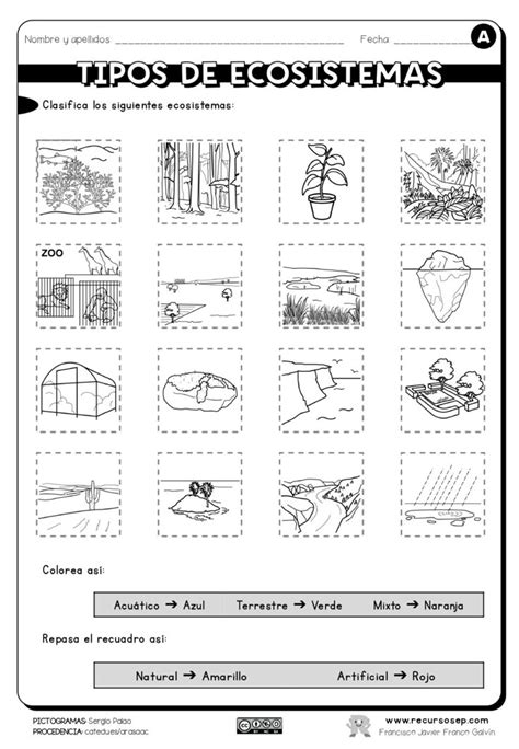 Dibujos De Los Ecosistemas Para Colorear