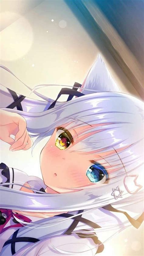 Neko Anime Girls Phone Wallpapers Wallpaper Cave