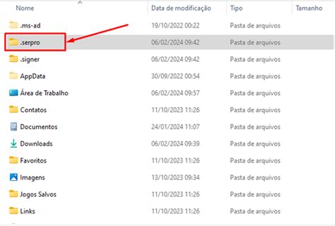 Erro Ao Iniciar Os Serviços Web Do Assinador Serpro Blog Ravel