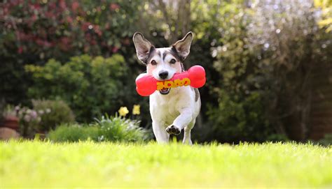 Twinstead Riding School Added A Twinstead Riding School