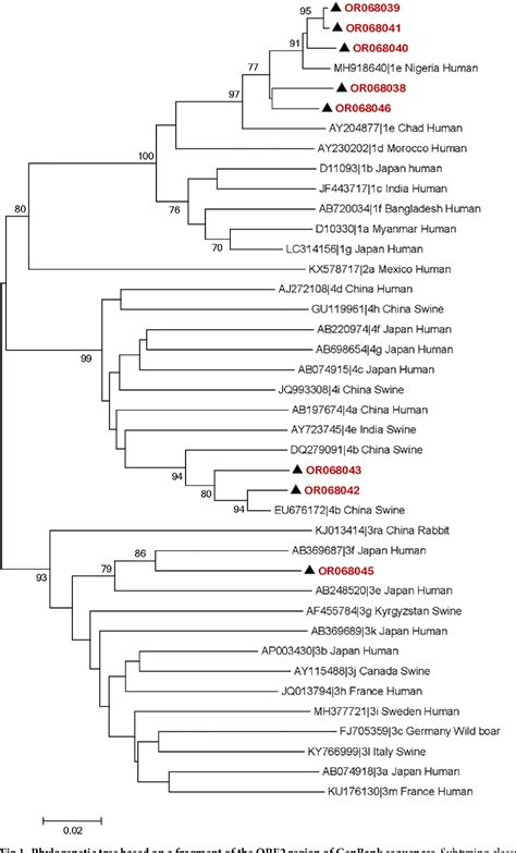 Figure 1 From Hepatitis E Virus Infections Among Patients With Acute Febrile Jaundice In Two