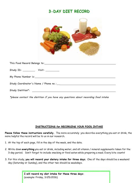 Sample 3 Day Diet Record Form Pdf Pdf Dietary Supplements Meal
