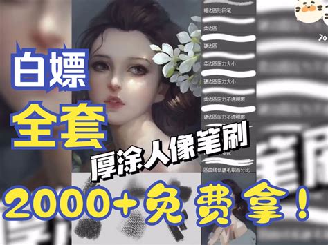 Procreate笔刷 最全笔刷合集 画画人必备 简介自取！ 哔哩哔哩