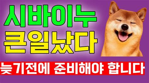 시바이누 코인 큰일났습니다일단 늦기전에 모두 준비하셔야 합니다 시바이누코인 Youtube