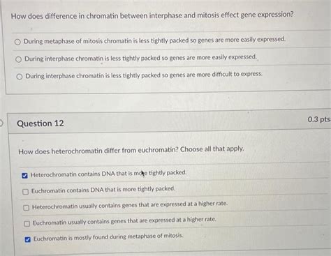 Solved How Does Difference In Chromatin Between Interphase
