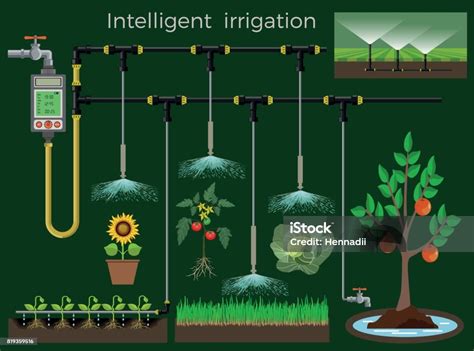 Agricamp Solusi Cerdas Untuk Optimalisasi Sistem Irigasi Di Agrowisata