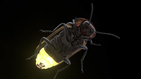 Animated Glowing Firefly Bug 3d Turbosquid 2095861