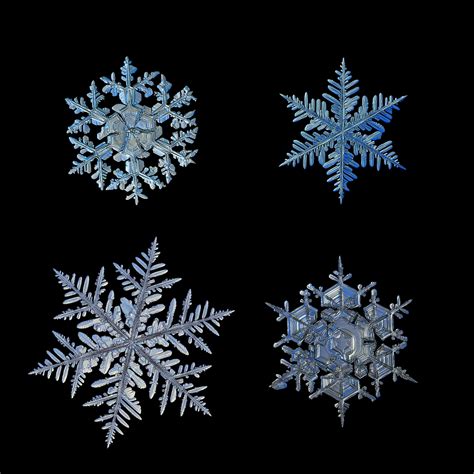 Macro Photos Of Snowflakes Show Impossibly Perfect Designs