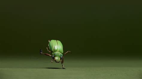 Bug Wallpaper 55 Pictures WallpaperSet