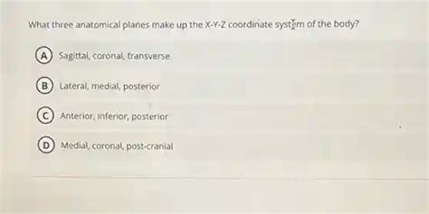 What Three Anatomical Planes Make Up The X Y Z Coordinate Syst A