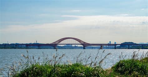 갈대 강 강둑 건설 건축 경치 관광 교통 구름 구조 녹지 다리 대도시 대한민국 도시 풍경 도시의 동아시아 랜드마크 목초 무성한 초목 물