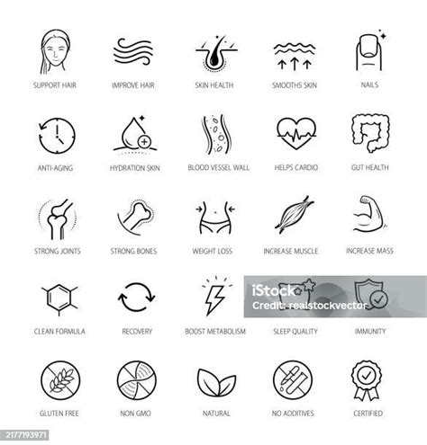 건강한 음식 라이프스타일 인간 개선 제품을 위한 활력 아이콘 세트 피부에 대한 스톡 벡터 아트 및 기타 이미지 피부 아이콘 벡터 Istock