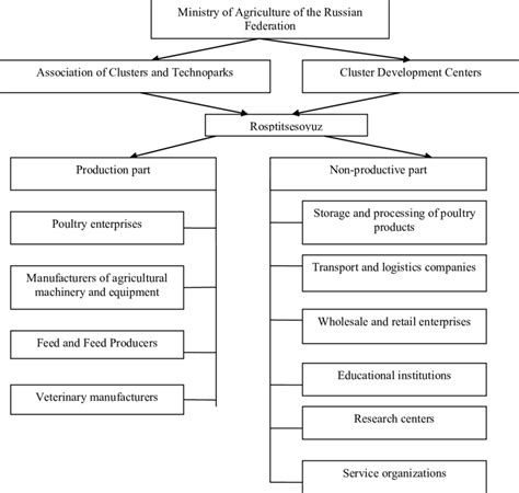 Schematic Representation Of The Poultry Cluster Download Scientific